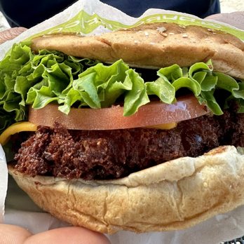 BURGERFI - Updated December 2025 - 17 Photos & 10 Reviews - Gallery ...
