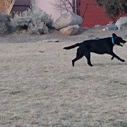 MAYBERRY PARK - 180 Photos & 43 Reviews - 121 Woodland Dr, Reno, NV - Yelp