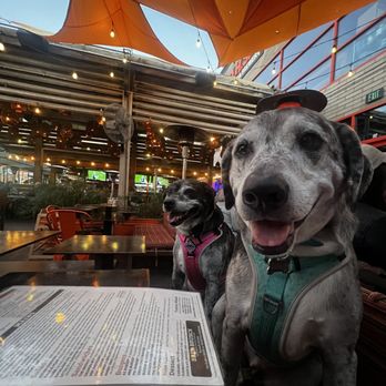 OHSO BREWERY- GILBERT - 1062 Photos & 884 Reviews - 335 N Gilbert Rd ...