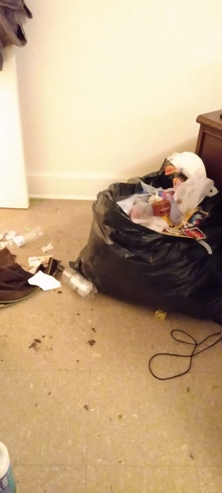 RUBBER DUCK CLEANING - 21 Photos - Nashville, Tennessee - Home Cleaning ...