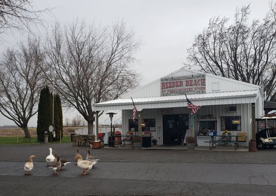 REEDER BEACH RV PARK & COUNTRY STORE - Updated May 2025 - 17 Photos ...