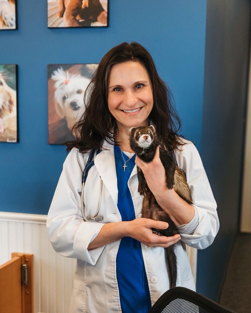 WANTAGE VETERINARY HOSPITAL - Updated October 2025 - 14 Photos & 11 ...