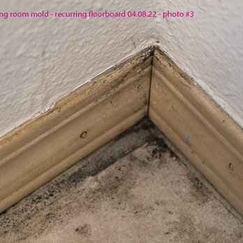 GREENBRIDGE PROPERTIES - Updated December 2025 - 30 Photos & 38 Reviews ...