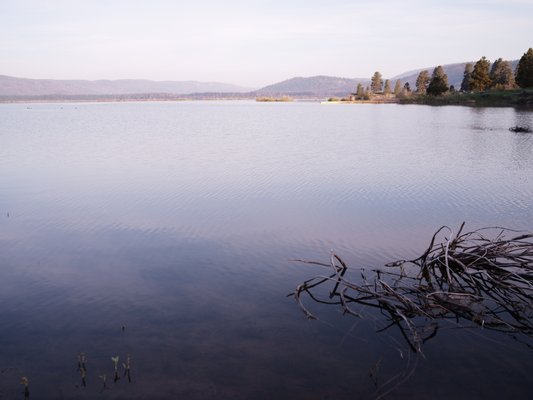 LAKE DAVIS RECREATION AREA - Updated August 2025 - 30 Photos - 7394 ...