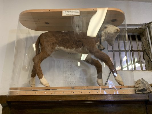 FORT JONES MUSEUM - Updated March 2024 - 15 Photos - 11913 Main, Fort ...