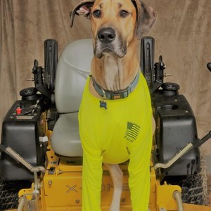 MODERN EXTERMINATING COMPANY - Updated October 2025 - 27 Reviews - 627 ...