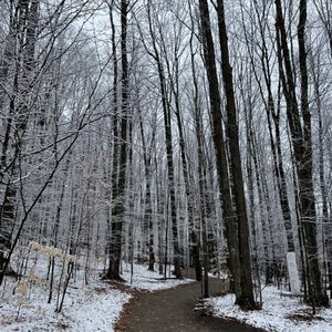 HOWE ICE ARENA - Updated May 2025 - 1125 West Civic Center Dr, Traverse ...