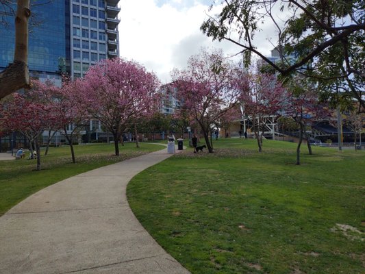 GALLAGHER SQUARE - 57 Photos & 23 Reviews - 100 Park Blvd, San Diego ...