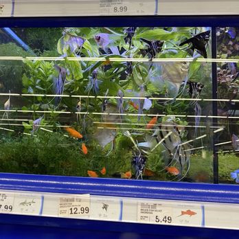 MEIJER - Updated December 2025 - 53 Photos & 61 Reviews - 11305 Lincoln ...