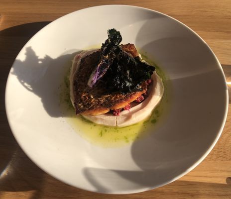 AURORA RISTORANTE - Updated December 2025 - 110 Photos & 106 Reviews ...