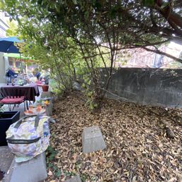 ALCHEMY BISTRO AND WINE BAR - Updated October 2025 - 117 Photos & 291 ...