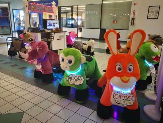 STUFFY RIDERS - 20 Photos - 1200 37 Street SW, Calgary, AB - Yelp