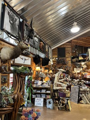 POTTERY RANCH - Updated August 2025 - 125 Photos & 40 Reviews - 6000 N ...