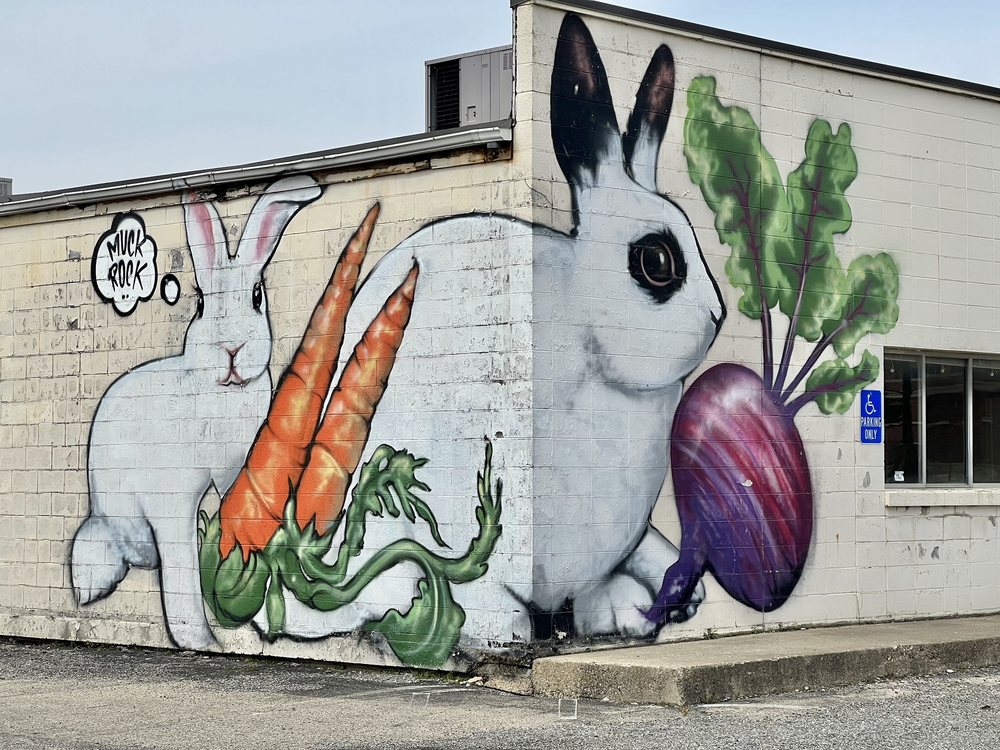 FARMER’S MARKET RABBITS MURAL - 510 3rd Ave SW, Carmel, Indiana ...