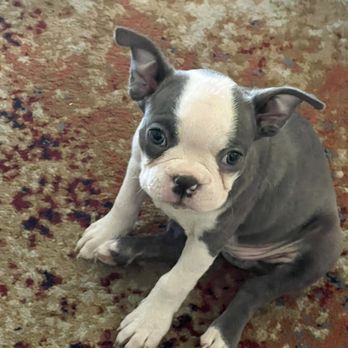 HUMANE ANIMAL HOSPITAL - Updated December 2025 - 89 Photos & 143 ...