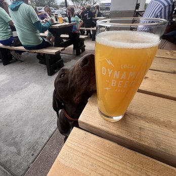 DYNAMITE BEER CO - Updated June 2025 - 95 Photos & 66 Reviews - 28212 N ...