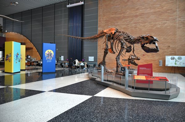 SCIENCE MUSEUM OF MINNESOTA - Updated June 2025 - 240 Photos & 199 ...
