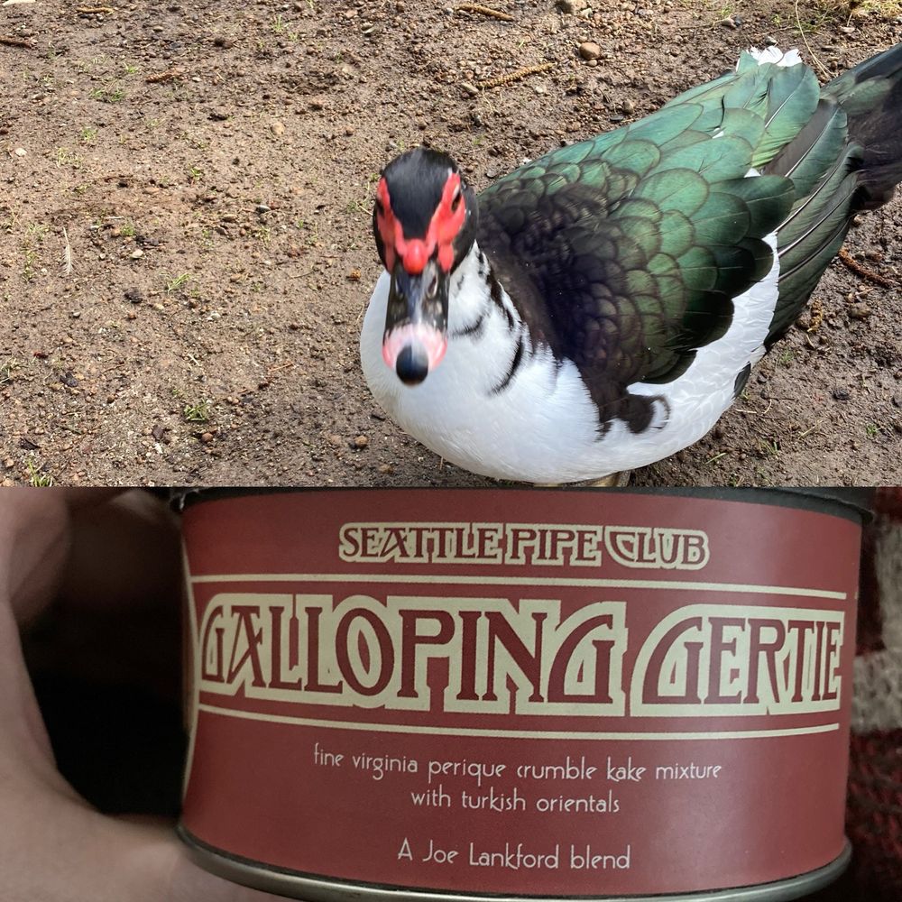 TINDER BOX - Updated October 2025 - 10 Photos & 20 Reviews - 7921 South ...