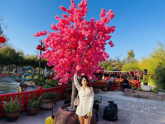 LUCKY LAND - Updated December 2024 - 420 Photos & 39 Reviews - 8625 ...