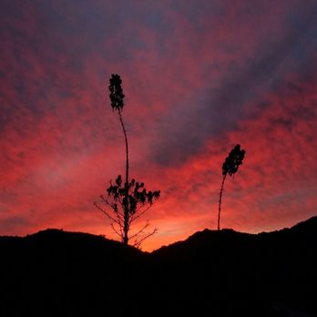 STONEY POINT - Updated August 2024 - 235 Photos & 82 Reviews - Topanga ...