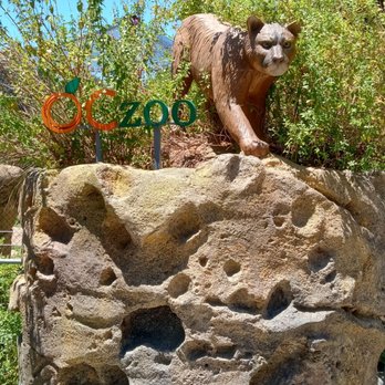 OC ZOO IRVINE REGIONAL PARK - Updated August 2024 - 41 Photos & 21 ...