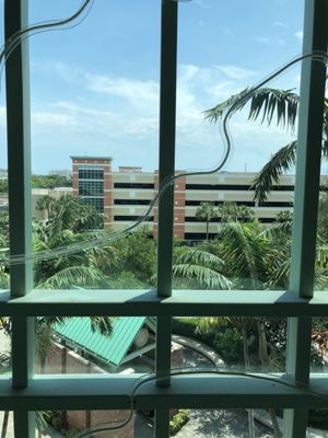 FLORIDA ATLANTIC UNIVERSITY - Updated October 2025 - 11 Photos - 777 ...