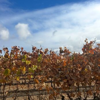 BRICK BARN WINE ESTATE - Updated October 2025 - 284 Reviews & 383 ...