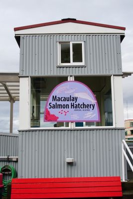 DIPAC/MACAULAY SALMON HATCHERY - Updated July 2025 - 237 Photos & 40 ...