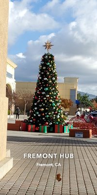 THE FREMONT HUB - 116 Photos & 74 Reviews - 39261 Fremont Blvd, Fremont ...