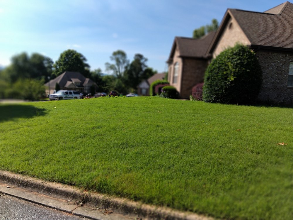 PARKSCREW LAWN CARE SERVICE - Updated July 2024 - Request a Quote - 45 ...