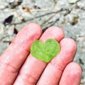 ST SIMONS PUBLIC LIBRARY - Updated March 2025 - 15 Photos - 530 ...