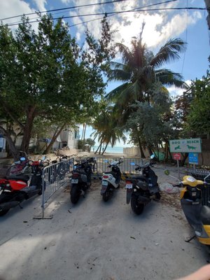 KEY WEST DOG BEACH - 34 Photos & 23 Reviews - Vernon St And Waddell Ave ...