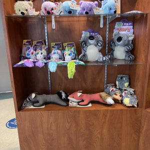 MONROE ROAD ANIMAL HOSPITAL - Updated September 2025 - 21 Photos & 68 ...