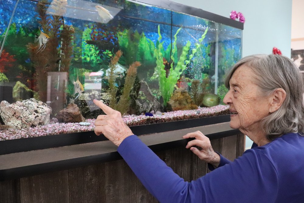 ELDERHEALTH & LIVING MEMORY VILLAGE - Updated December 2025 - 382 S ...