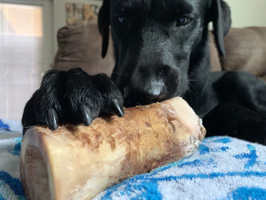 RUFF LIFE DOG BONES - Updated November 2025 - 12 Photos & 23 Reviews ...