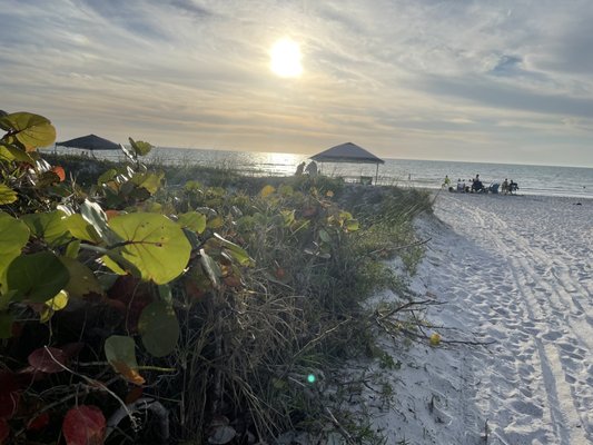 MORGAN BEACH PARK - Updated September 2025 - 16 Photos - 2650 Gulf Blvd ...