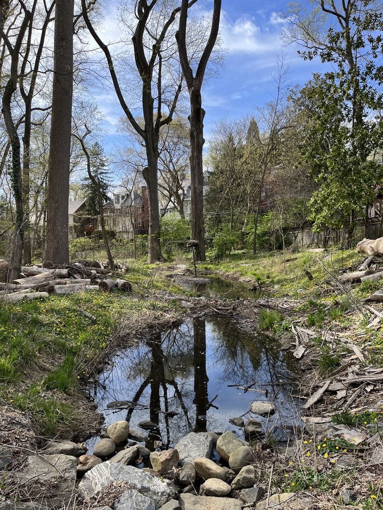 SPRING VALLEY PARK - Updated December 2025 - 13 Photos - Quebec St NW ...