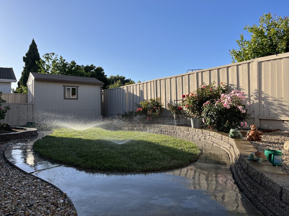 NAIVE GARDENS - Updated January 2026 - 26 Photos - Oakland, California - Gardeners - Phone ...