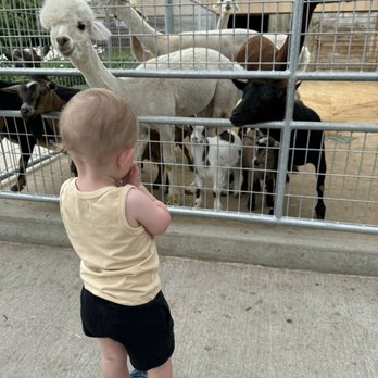 BOULDER RIDGE WILD ANIMAL PARK - Updated November 2025 - 151 Photos ...