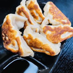DUMPLING DOJO - Updated October 2025 - 687 Photos & 394 Reviews - 16 ...