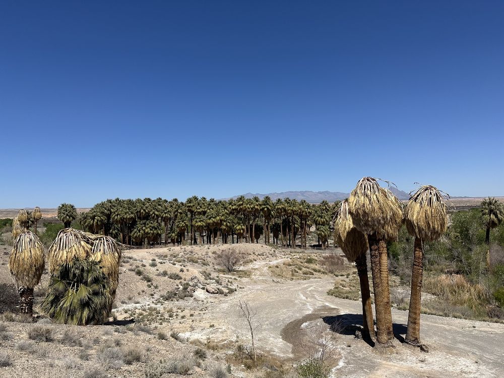 MOAPA VALLEY NATIONAL WILDLIFE REFUGE - Updated June 2024 - 50 Photos ...
