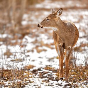 26 MILE NATURE PRESERVE - Updated July 2025 - 40 Photos - 22200 26 Mile ...