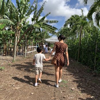 TINEZ FARMS - Updated January 2026 - 362 Photos & 67 Reviews - 16405 SW ...