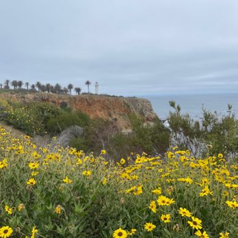 POINT VICENTE INTERPRETIVE CENTER - Updated July 2024 - 1034 Photos & 205 Reviews - 31501 Palos ...