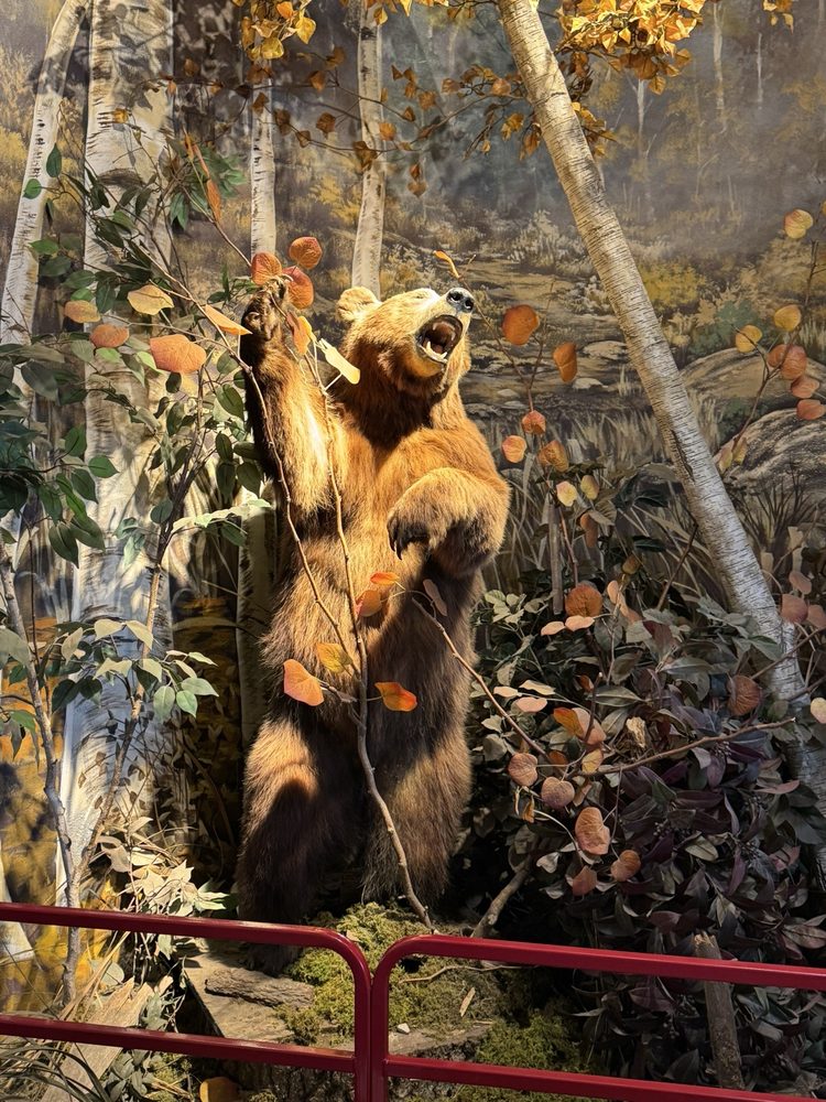 BASS PRO SHOPS - Updated January 2026 - 46 Photos & 70 Real Reviews - 2 ...