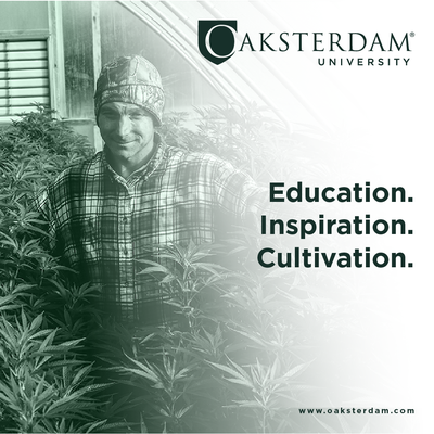 OAKSTERDAM UNIVERSITY - Updated July 2025 - 43 Photos & 40 Reviews ...