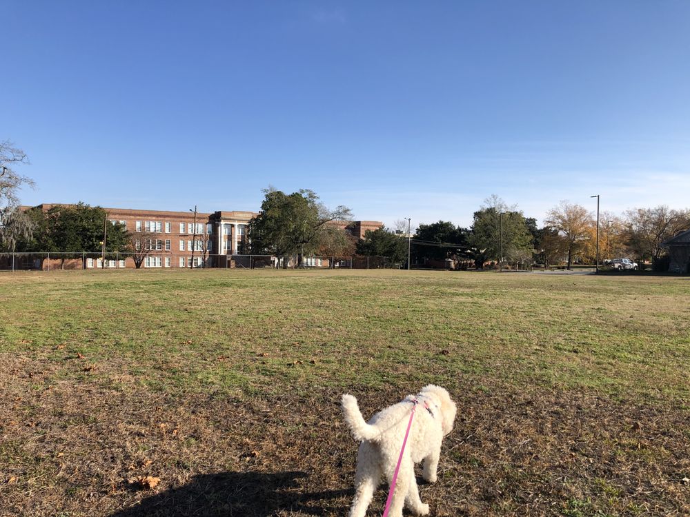 ROBERT STRANGE PARK - Updated September 2025 - 401 S 8th St, Wilmington ...