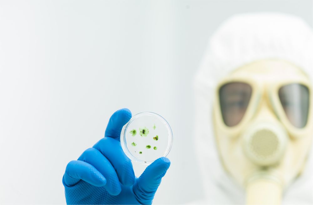 PRS CONSTRUCTION - Updated December 2025 - 14 Photos - 15720 Brixham ...