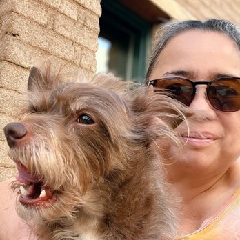 THE PINT HOUSE BAR AND GRILL - Updated June 2024 - 180 Photos & 233 ...