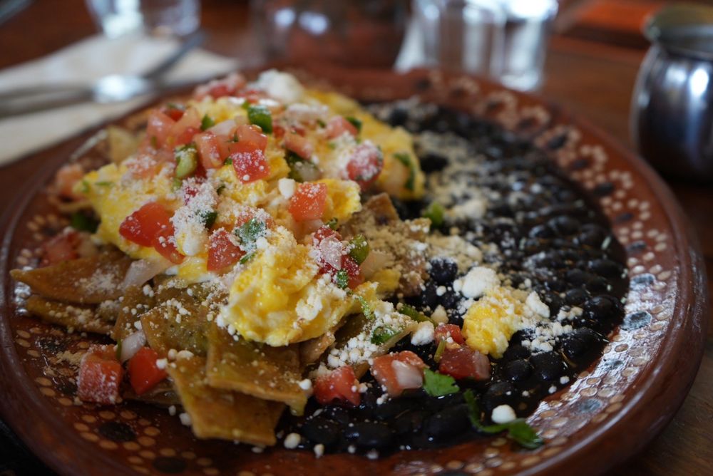 EL MOOSE - Updated December 2024 - 503 Photos & 1032 Reviews - 5242 ...